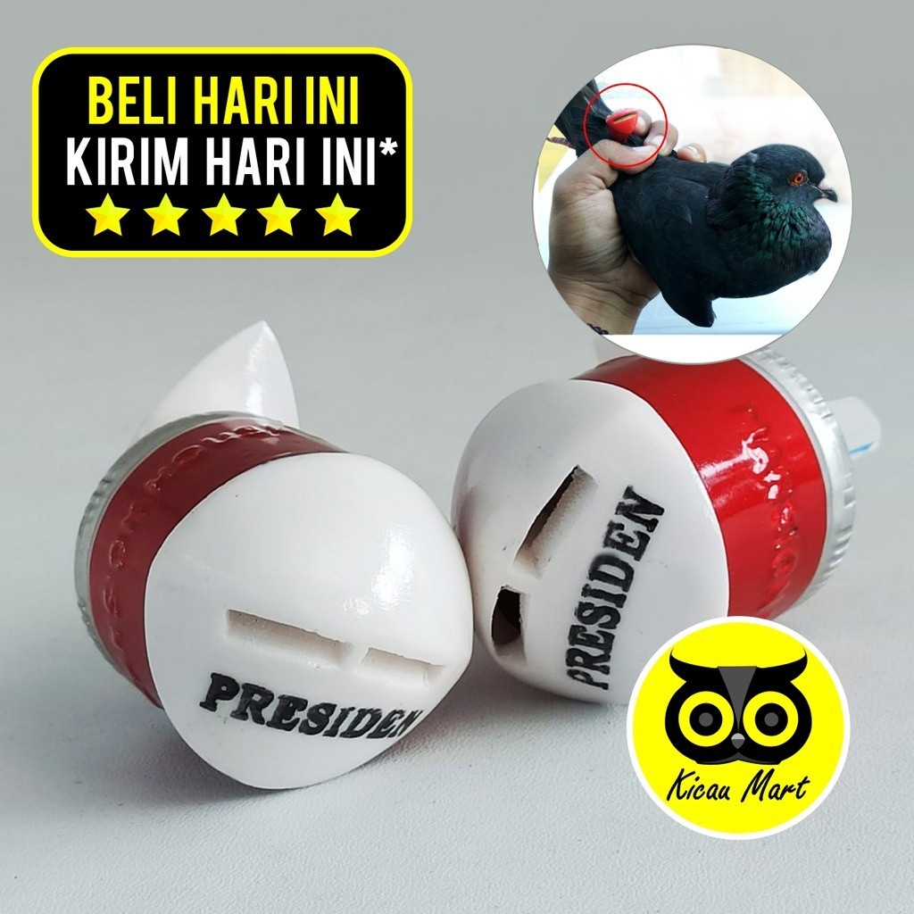 Jual KICAU MART SAWANGAN MERPATI PRESIDEN MANSION JUMBO SAWANGAN BURUNG ...