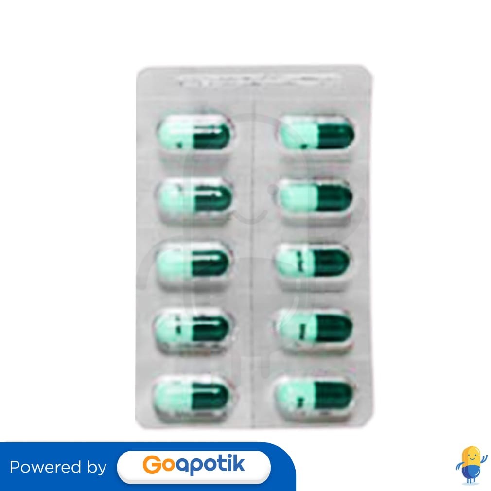 Jual Erdobat 300 Mg Strip 10 Kapsul | Shopee Indonesia
