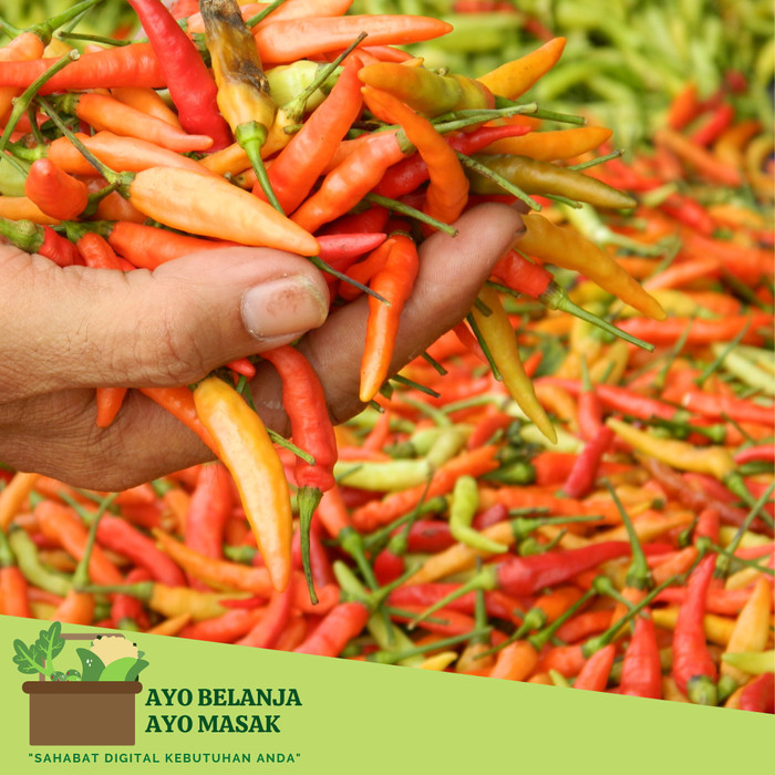 Jual CABE RAWIT MERAH per 100 Gram | Shopee Indonesia