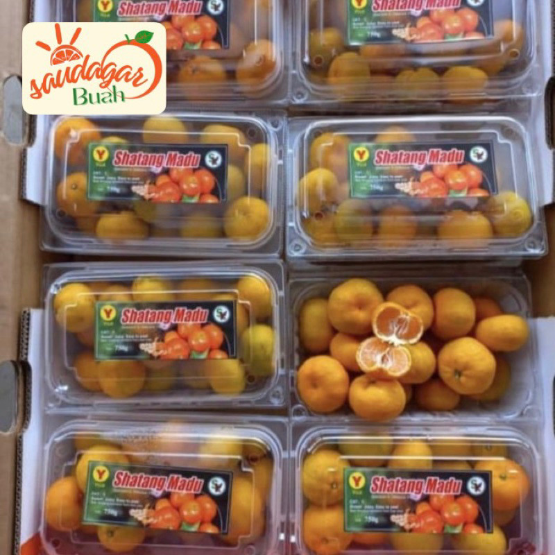 Jual UD BUAH 3 SAUDARA BUAH JERUK SANTANG MADU PACK SEDLED NON BIJI ...