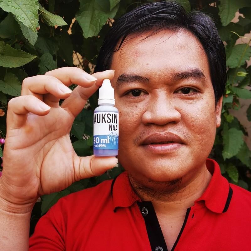 Jual Hormon Tanaman Auksin NAA Tetes 30ml Melebatkan dan Memanjangkan ...