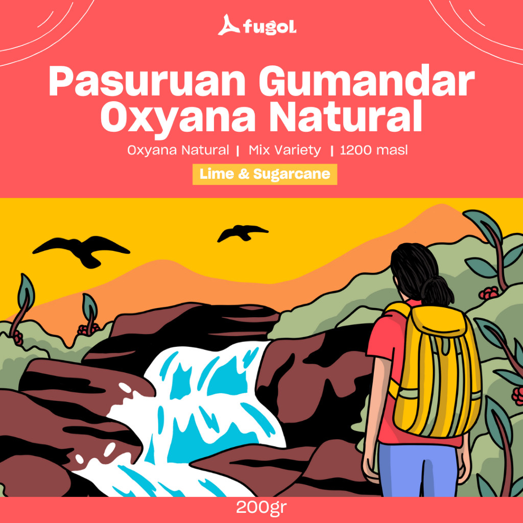 Jual Biji Kopi Arabika Pasuruan Gumandar Anahita Oxyana Natural (200 ...