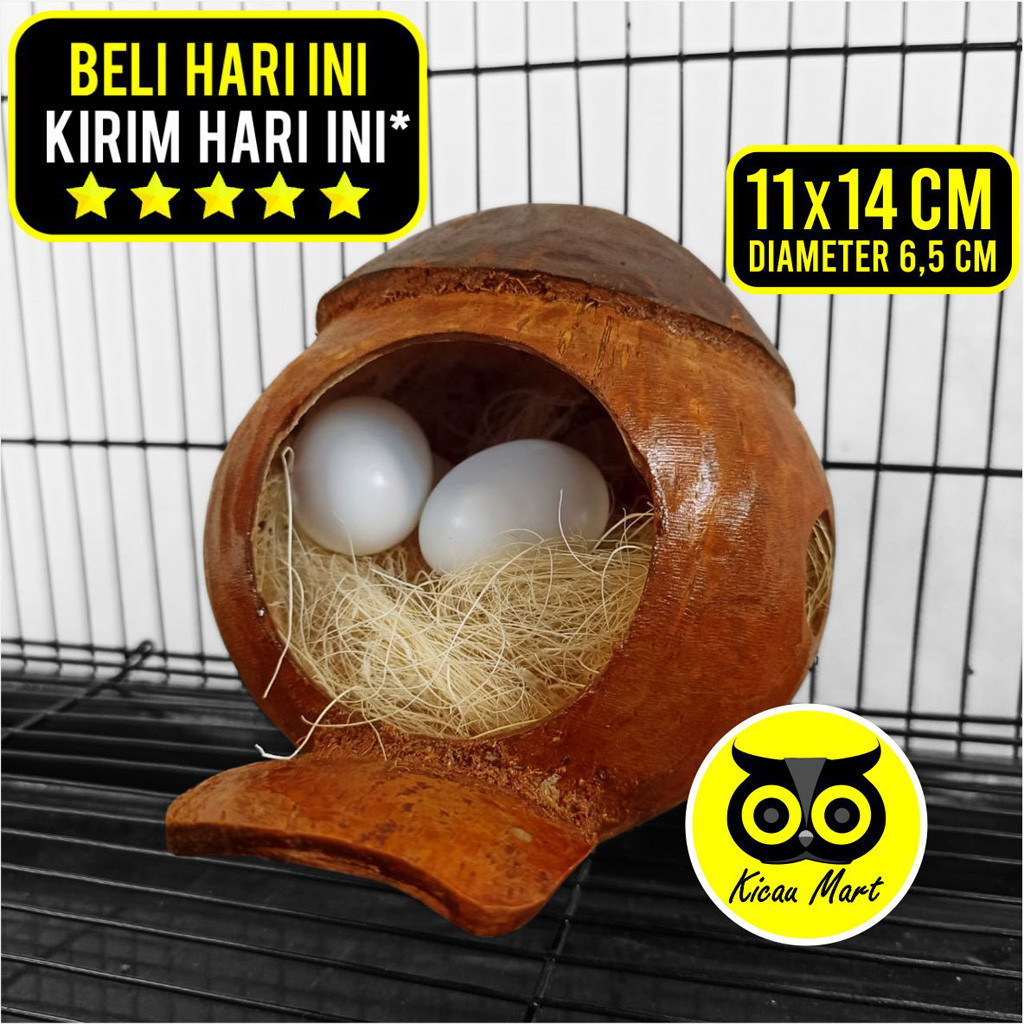 Jual KICAU MART GLODOK BATOK KELAPA JEMBATAN GLODOK BAJING JEMBATAN ...