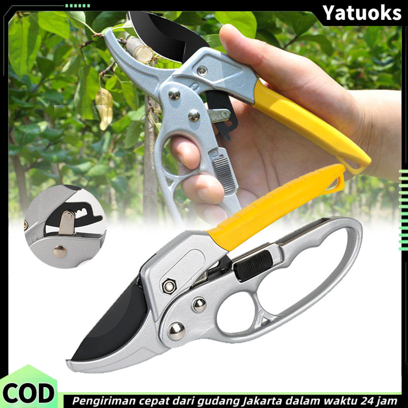 Jual Gunting / Pruning Shears/ Gunting Dahan Bunga/ Gunting pohon buah berlapis titanium dari ...