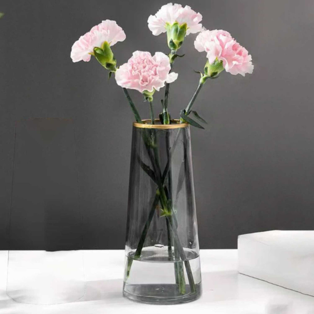 Jual Vas Bunga Kaca Silinder Smooth Nordic Simple Glass Vase - QT072 ...