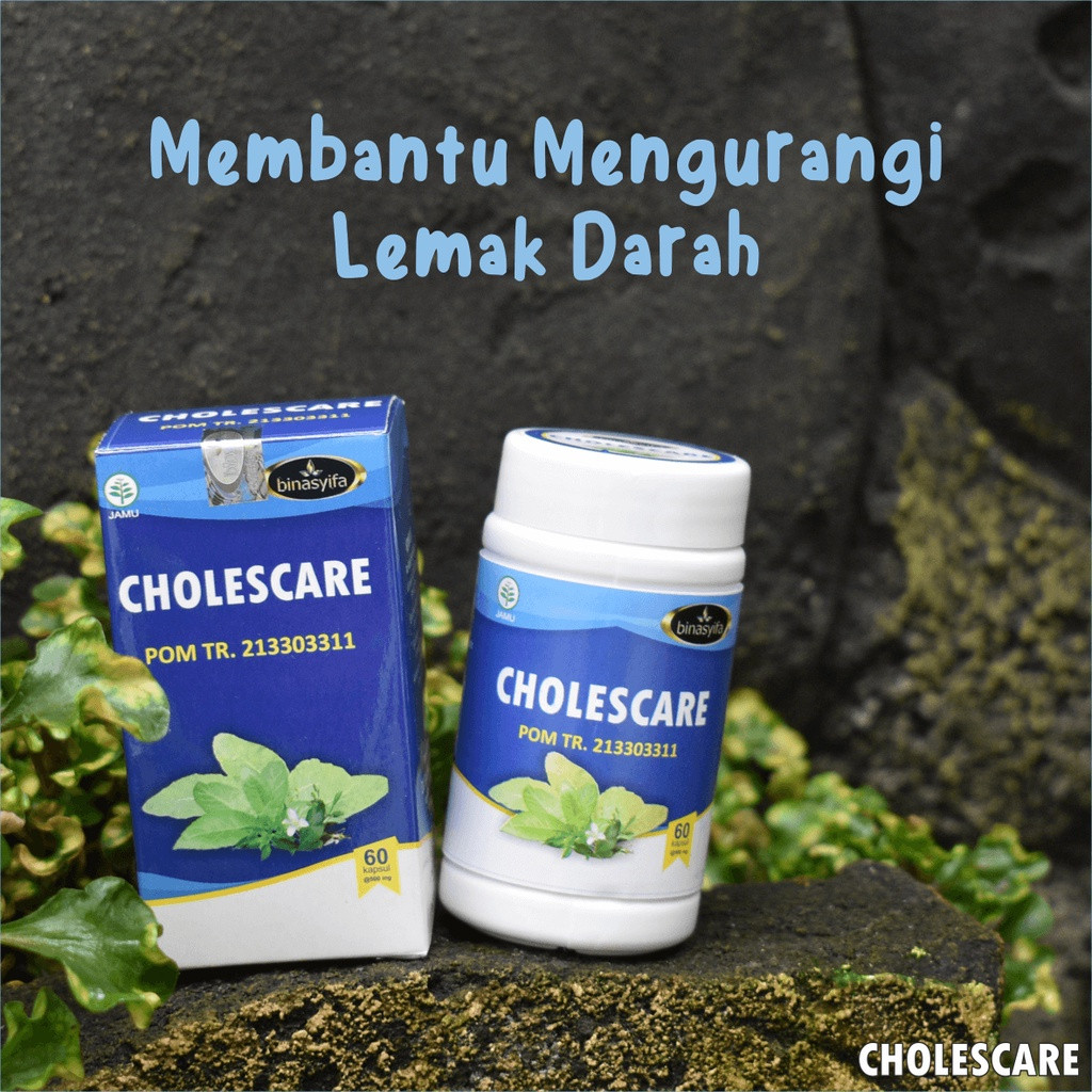 Jual Obat Hipertensi Cholescare Menurunkan Kolesterol Jahat Stroke ...