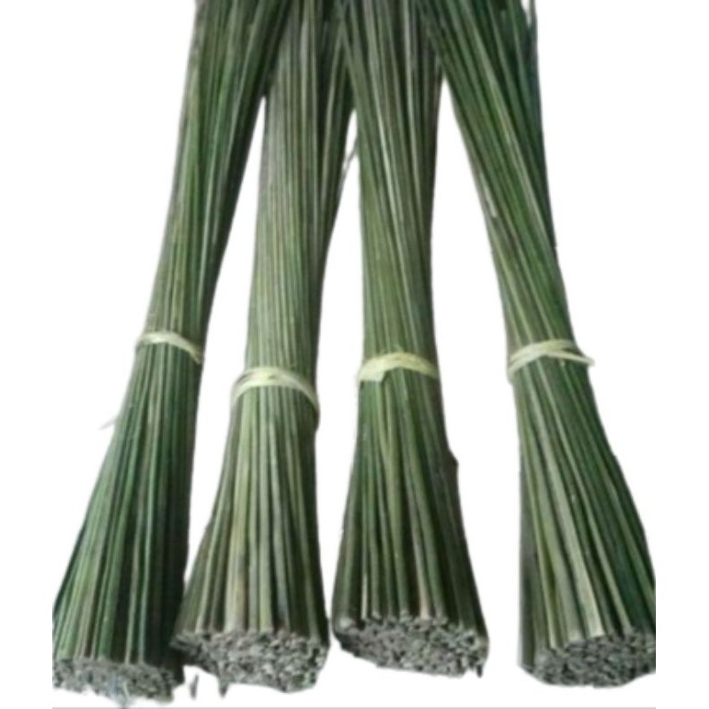 Jual Sapu Lidi Aren Termurah ( panjang / Baru / Bersih ) | Shopee Indonesia