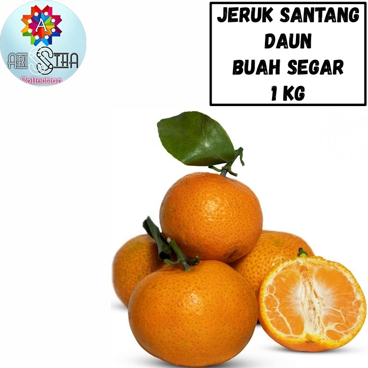 Jual Jeruk Santang Daun Buah Segar 1 Kg | Shopee Indonesia