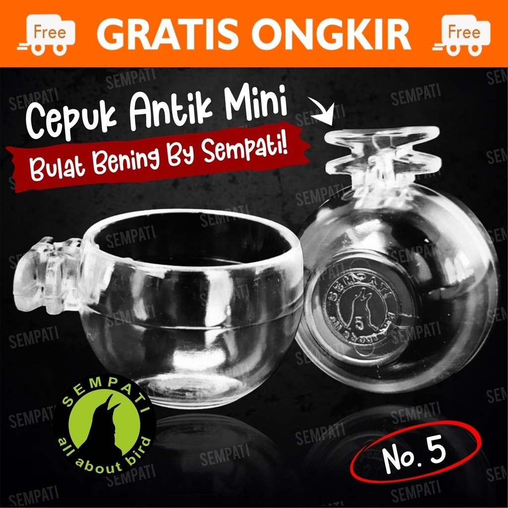 Jual SEMPATI CEPUK NO 5 BULAT SEMPATI UNTUK BURUNG KECIL CEPUK NEKTAR ...
