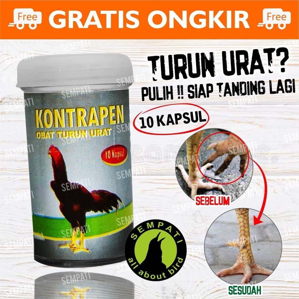 Jual SEMPATI Obat Ayam Turun Urat Kontrapen Kapsul Obat Kaki Ayam ...