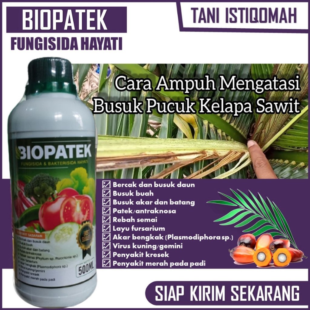 Jual BIOPATEK 500 ML OBAT SAWIT Mati Pucuk Ampuh - Pupuk Organik ...