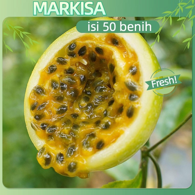 Jual berhasil tinggi-(50 BUTIR) BENIH BIJI MARKISA UNGU MANIS KUALITAS UNGGULAN (Superior Seeds ...