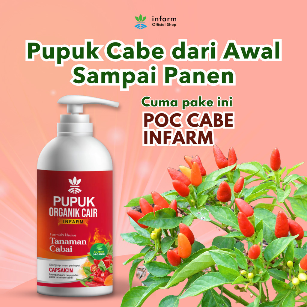 Jual Infarm Pupuk Organik Cair Tanaman Cabai 1L POC Pupuk Organik Pelebat Buah Cabai Cabe ...