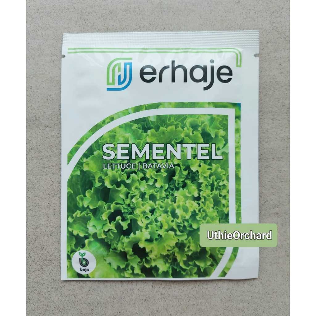 Jual Benih Bejo Seed - Selada Batavia Sementel Kemasan 1000 pills ...