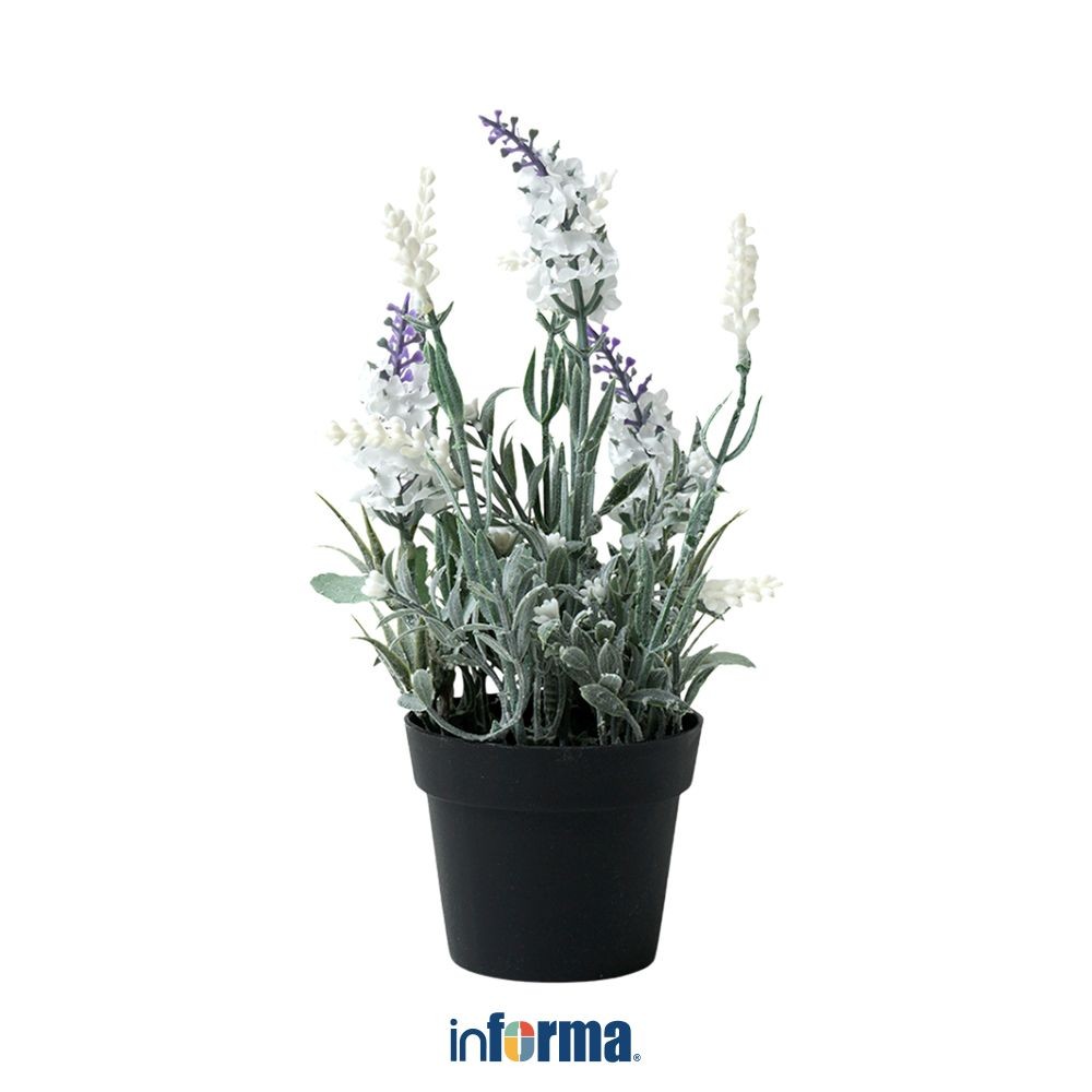 Jual Informa 12X12X27 cm Bunga Artifial Lavender - Putih Bunga Hias ...