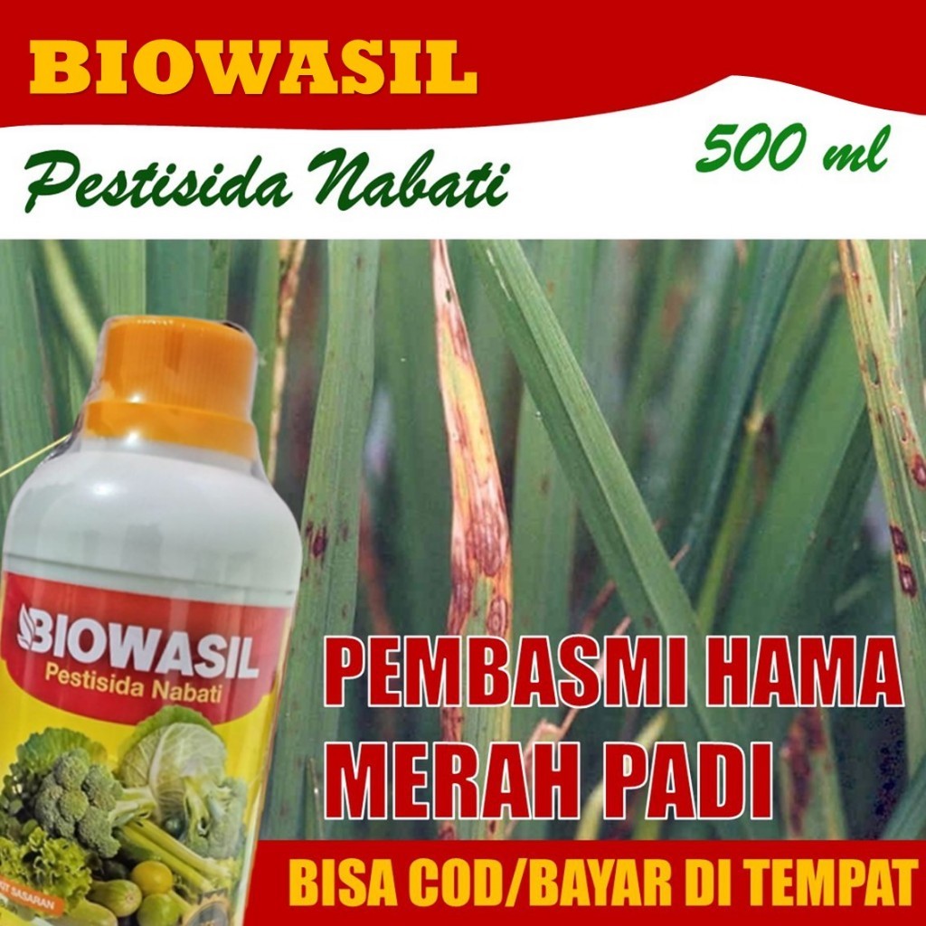 Jual BIOWASIL Pestisida Organik Obat Hama Merah Padi - 500 ML Insektisida Organik Pestisida Obat ...