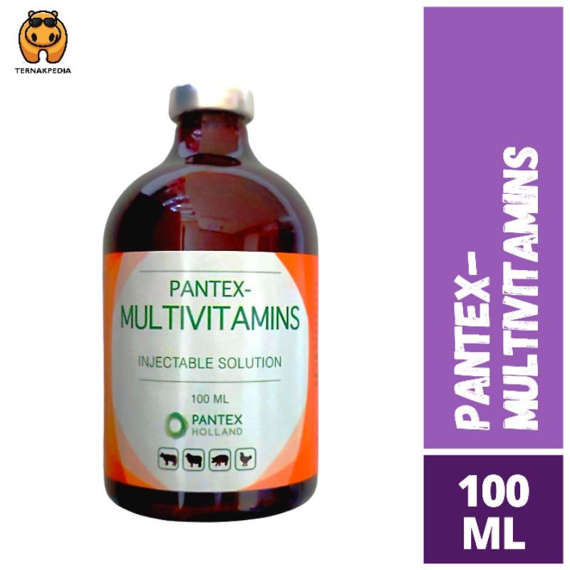 Jual Obat -Pantex Multivitamin 100 ml - Multivitamin Pantex ...