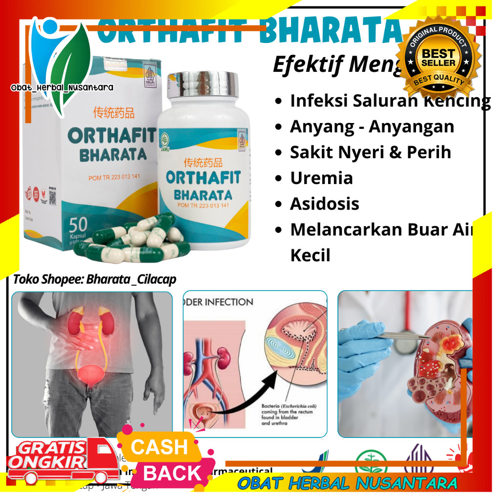 Jual Obat Batu Ginjal-Gagal Ginjal-Infeksi Saluran Kemih,Kencing Darah-ORTHAFIT BHARATA 100% ...