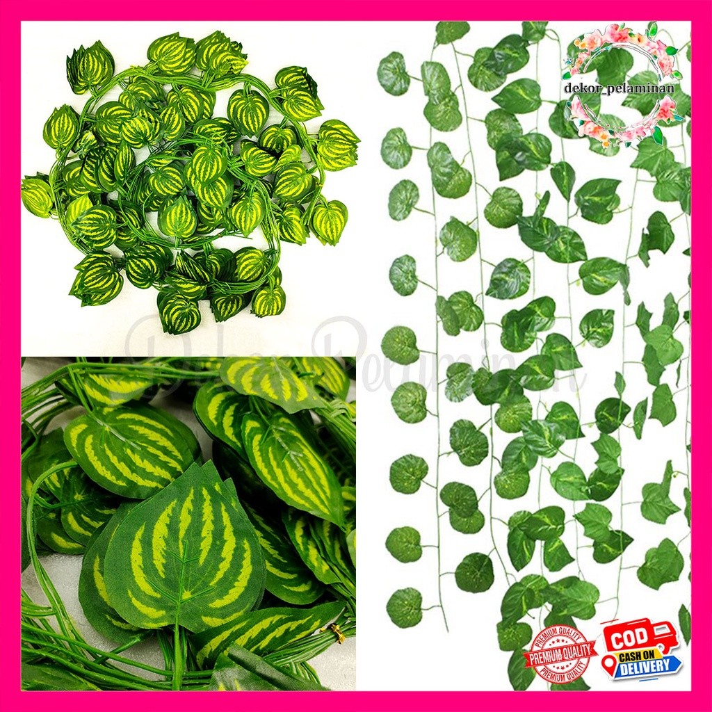 Jual DAUN RAMBAT GARLAN SATUAN L(240) / S(220) BUNGA IMPORT/BUNGA MURAH ...