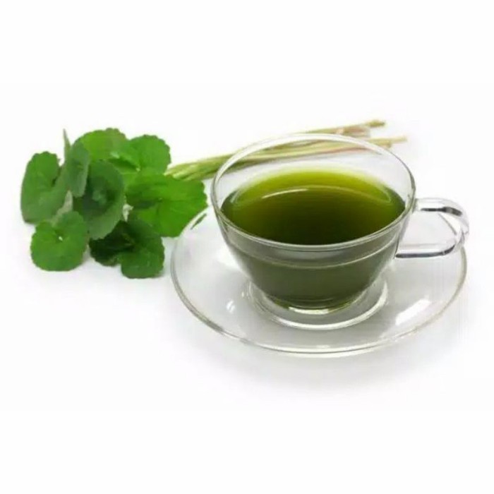 Jual Daun Antanan/Pegagan Segar/Semanggi Gunung/100gram | Shopee Indonesia