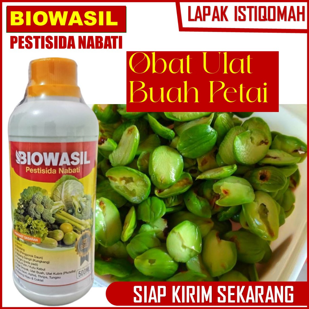 Jual Insektisida Ulat Petai Paling Bagus - Pupuk Organik Tanaman ...
