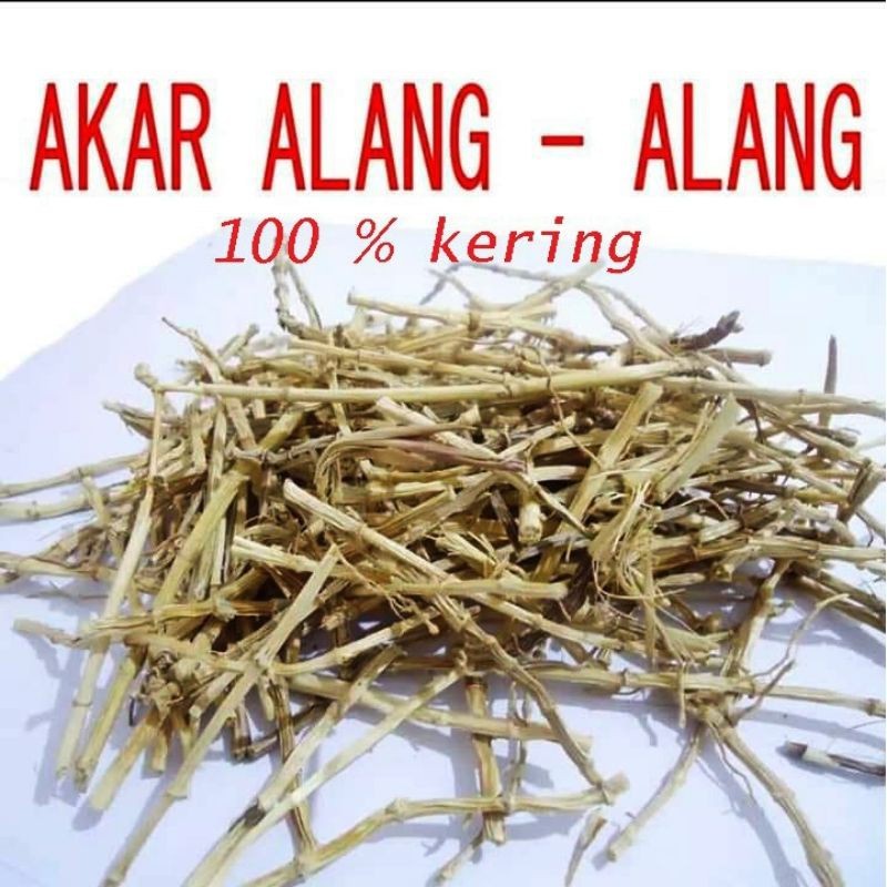 Jual New Promo akar ALANG ALANG Kering 100gr Alang Ilalang Herbal ...