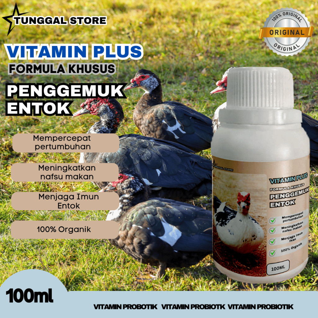 Jual Vitamin Plus- Vitamin Booster Penggemuk Entok, Vitamin Perangsang ...