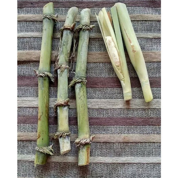 Jual promo Bibit Stek Turubuk 1Kg Telur Tebu Endog Tiwu Delowako ...