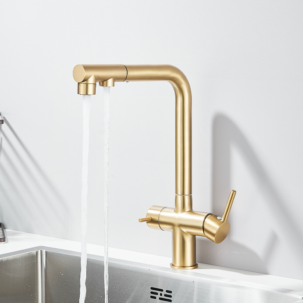 Jual Gold Filter Kitchen Faucets Dual Spout Pull Out Kitchen Sink Water ...