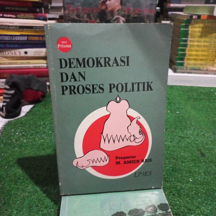Jual Buku Demokrasi dan Proses Politik original | Shopee Indonesia