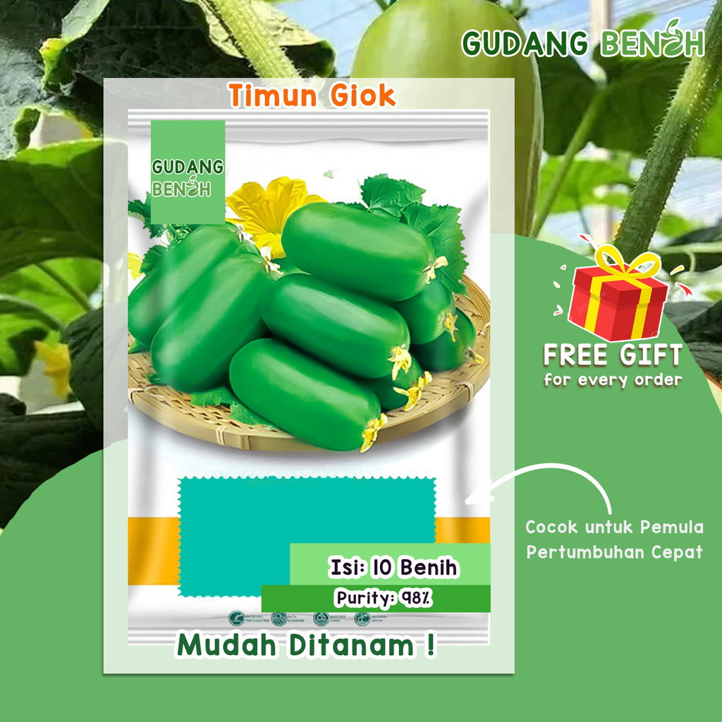 Jual [TERBARU] Benih Tanaman Sayuran Timun Giok HIGH QUALITY isi 10 ...
