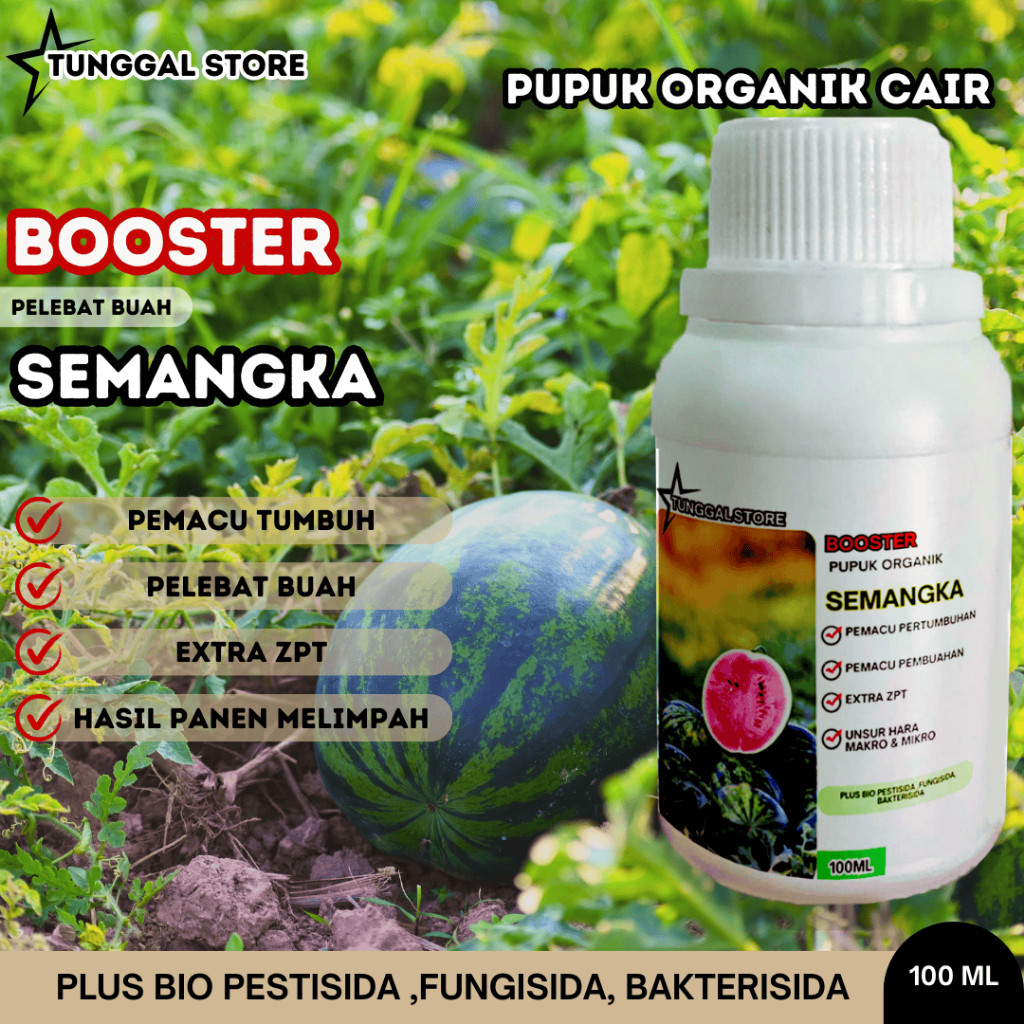 Jual PUPUK ORGANIK CAIR BUAH SEMANGKA, BOOSTER PELEBAT DAN PERANGSANG TANAMAN BUAH SEMANGKA ...