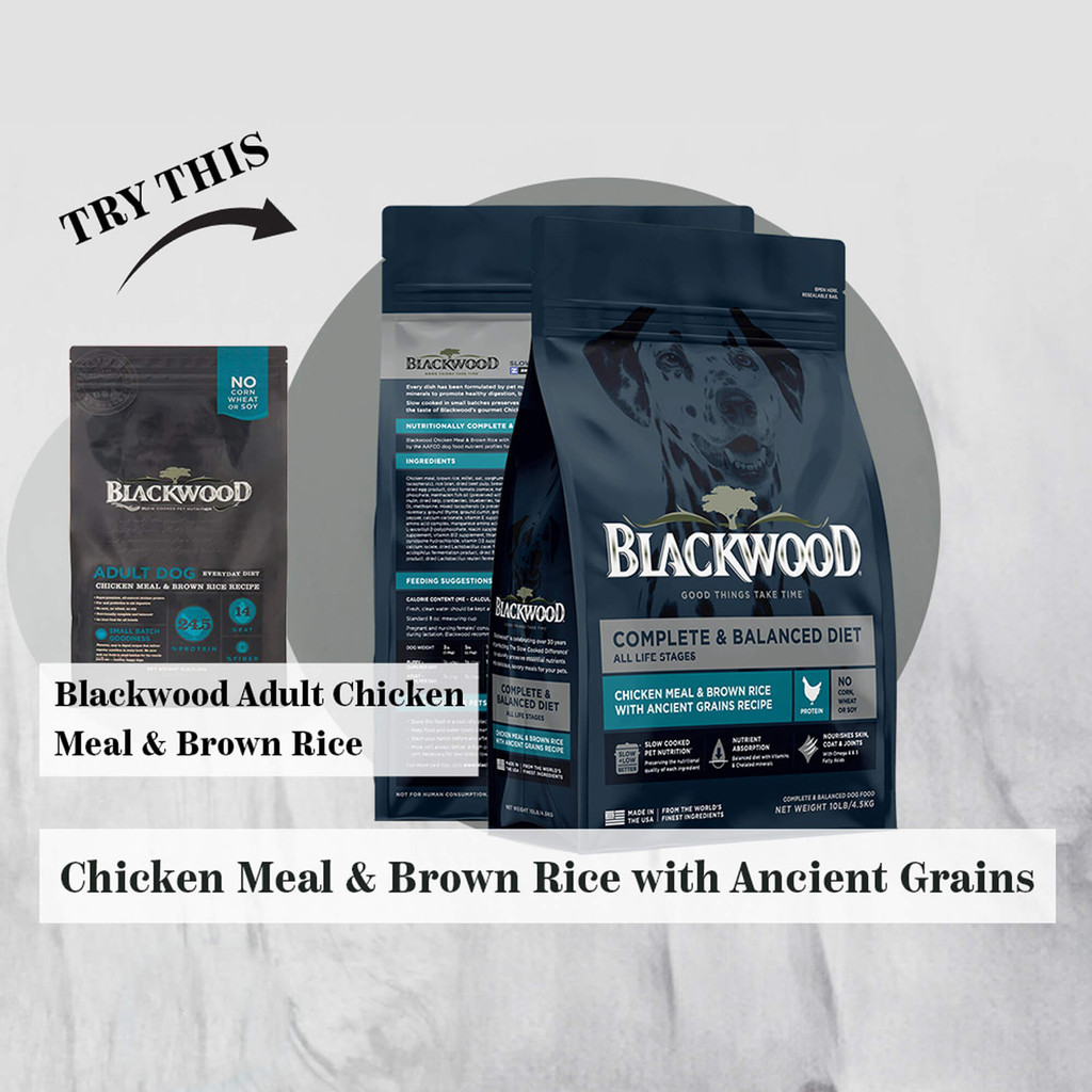 Jual [SUNNYPAWS] BLACKWOOD Zinpro Chicken Meal Brown Rice Ancient ...