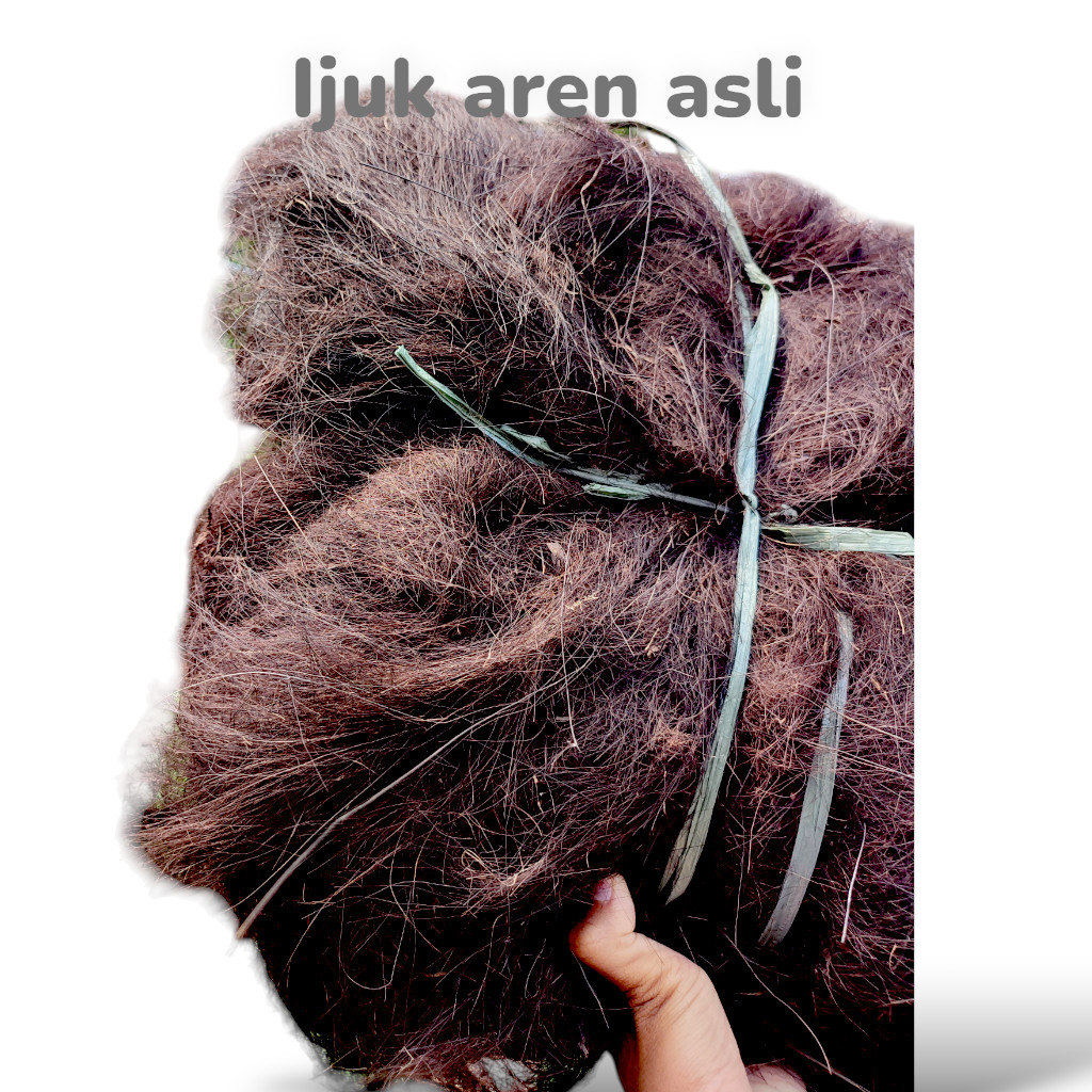 Jual ijuk aren resapan original/ijuk aren untuk filter air &septictank ...