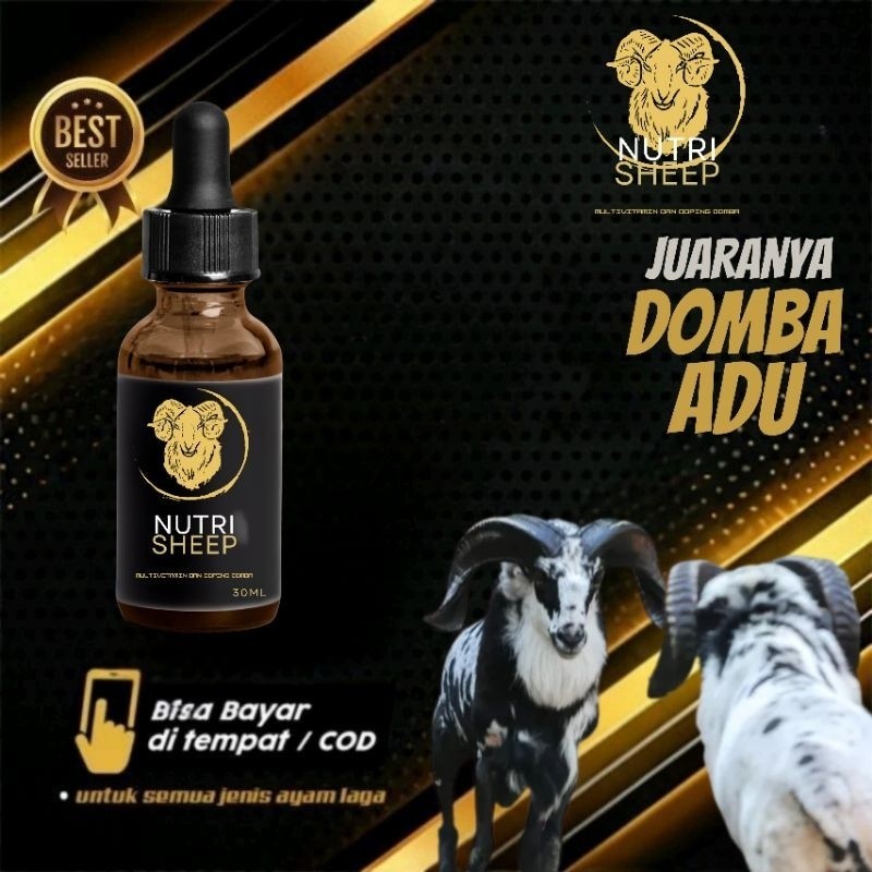 Jual Katineung - NUTRI SHEEP - Obat Doping Domba Adu Domba Garut Adu ...