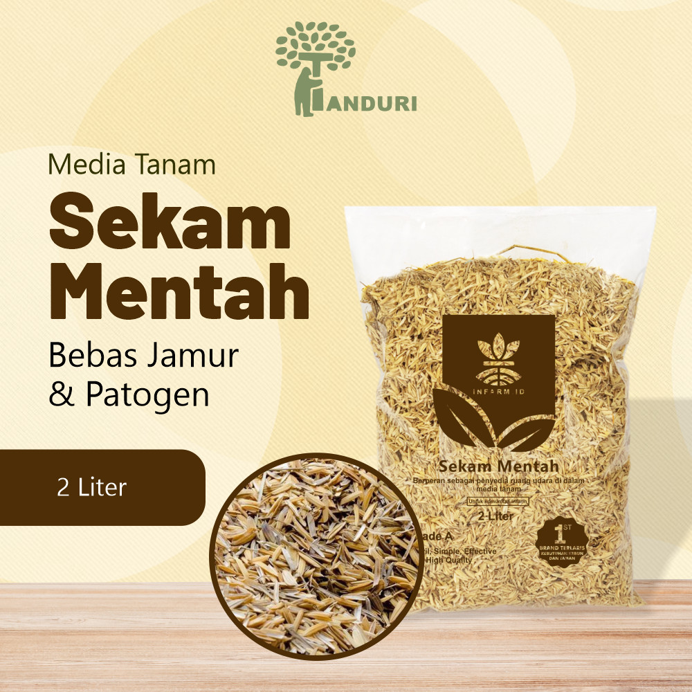 Jual INFARM - Sekam Mentah 2 liter Tanah Media Tanam Sekam Mentah 2L ...