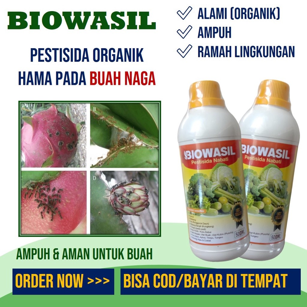 Jual BIOWASIL 500 ML Obat Hama Buah Naga - Pupuk Semprot Buah Naga Anti ...