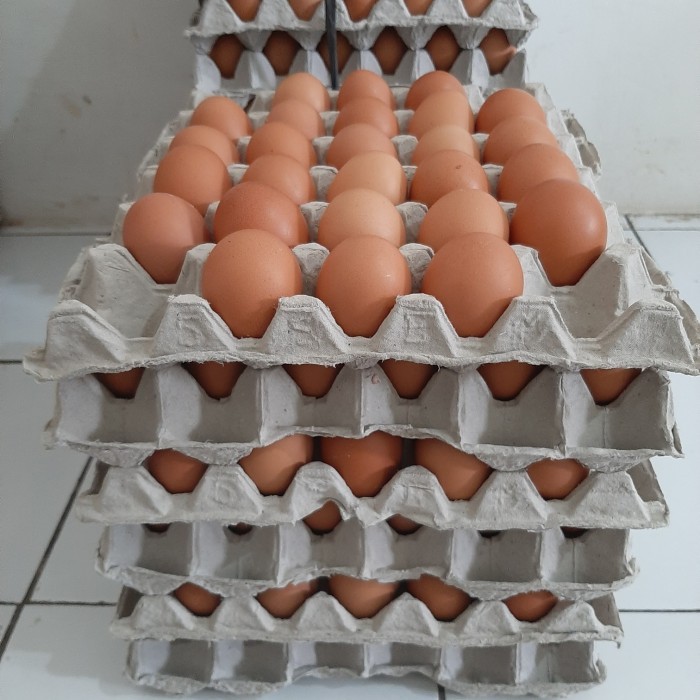 Jual TELUR AYAM NEGRI / TELUR AYAM PER 1 TRAY | Shopee Indonesia
