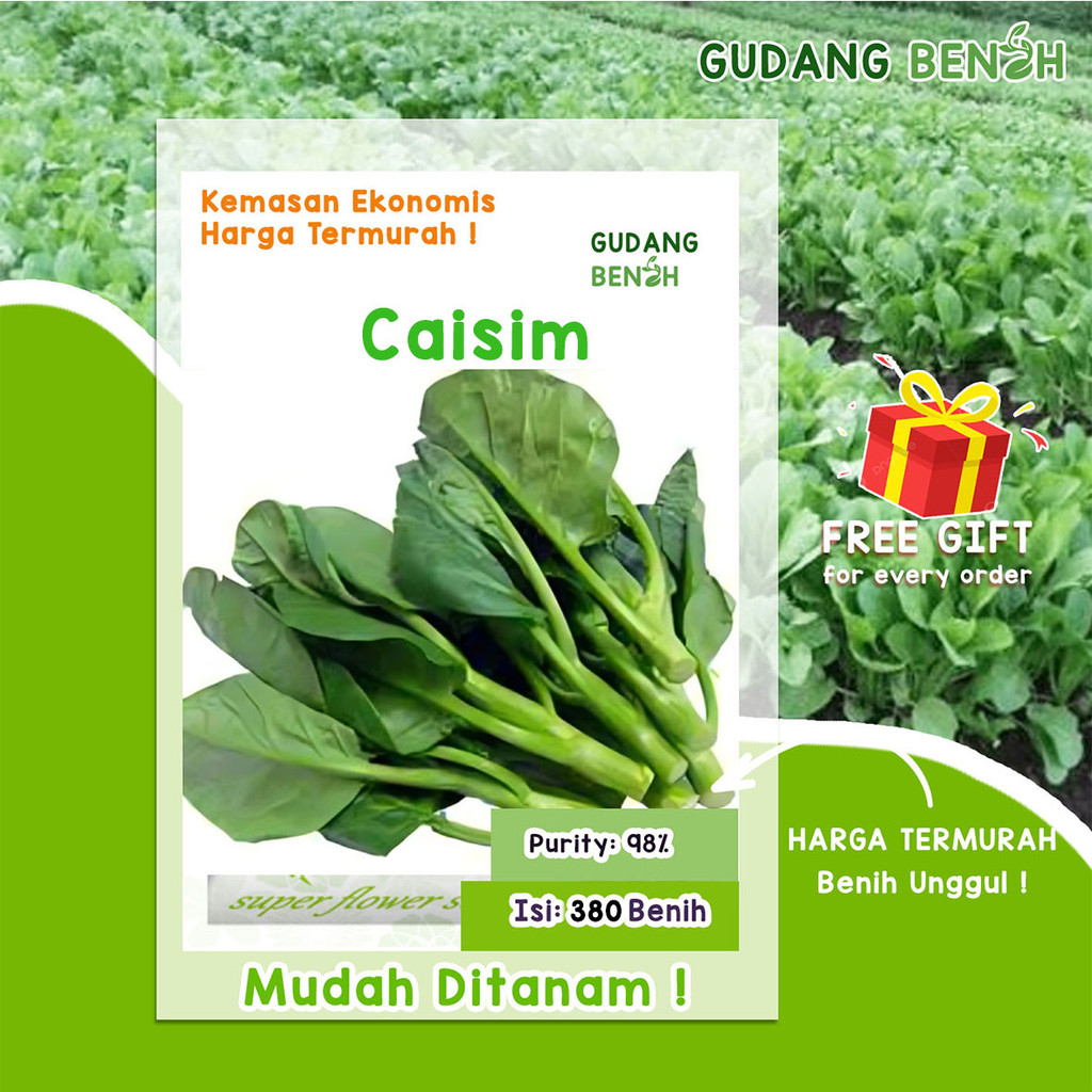 Jual [TERBARU] Benih Uk Small Pack Tanaman Sayuran Caisim Berkualitas ...