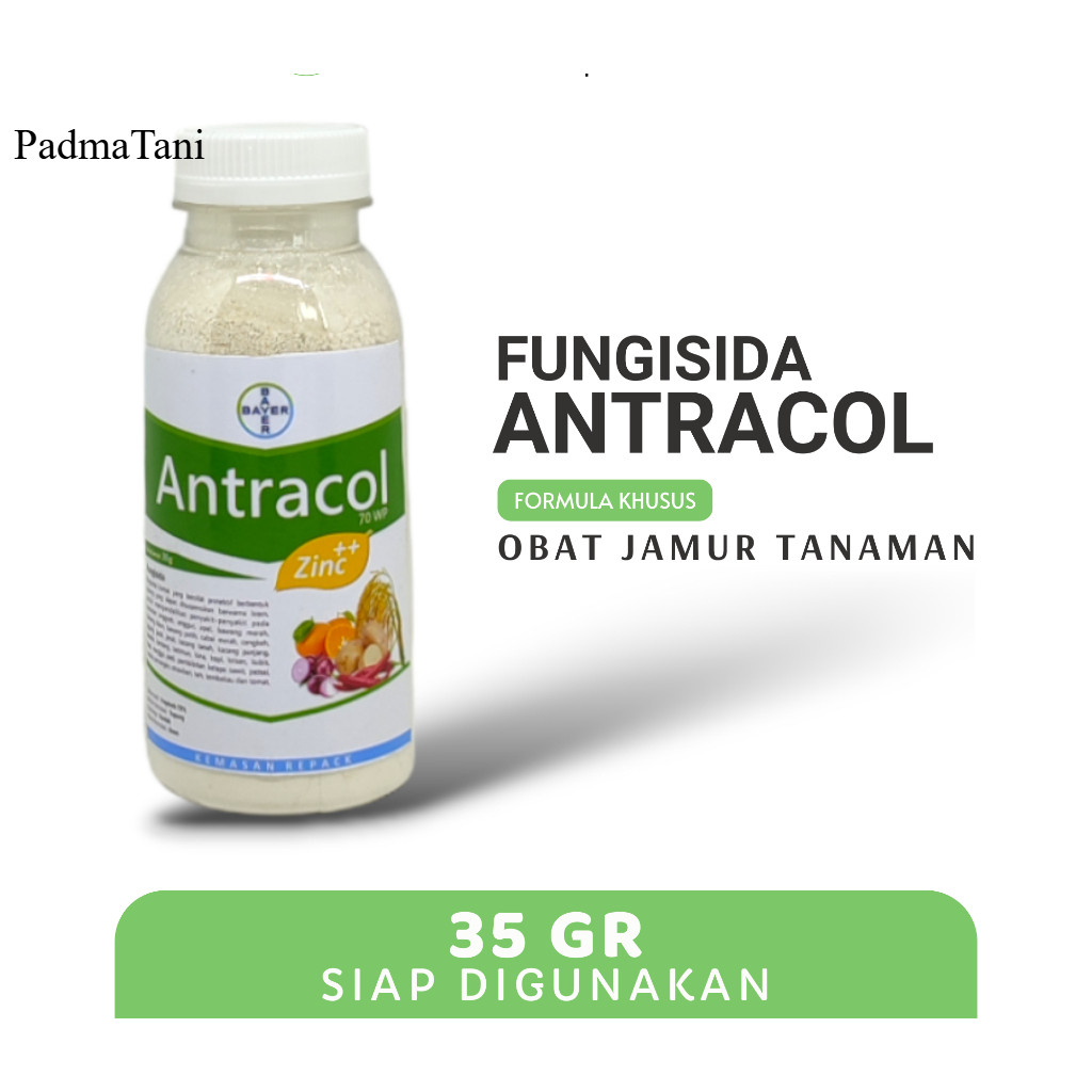 Jual 35 gram - Obat Jamur Fungisida ANTRACOL 70WP | Shopee Indonesia
