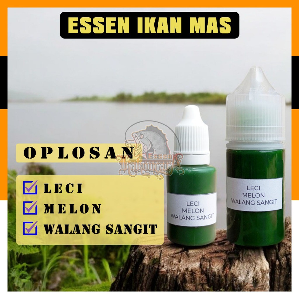 Jual Essen Ikan Mas Leci Melon Walang Sangit Pilihan Tepat untuk Lomba ...