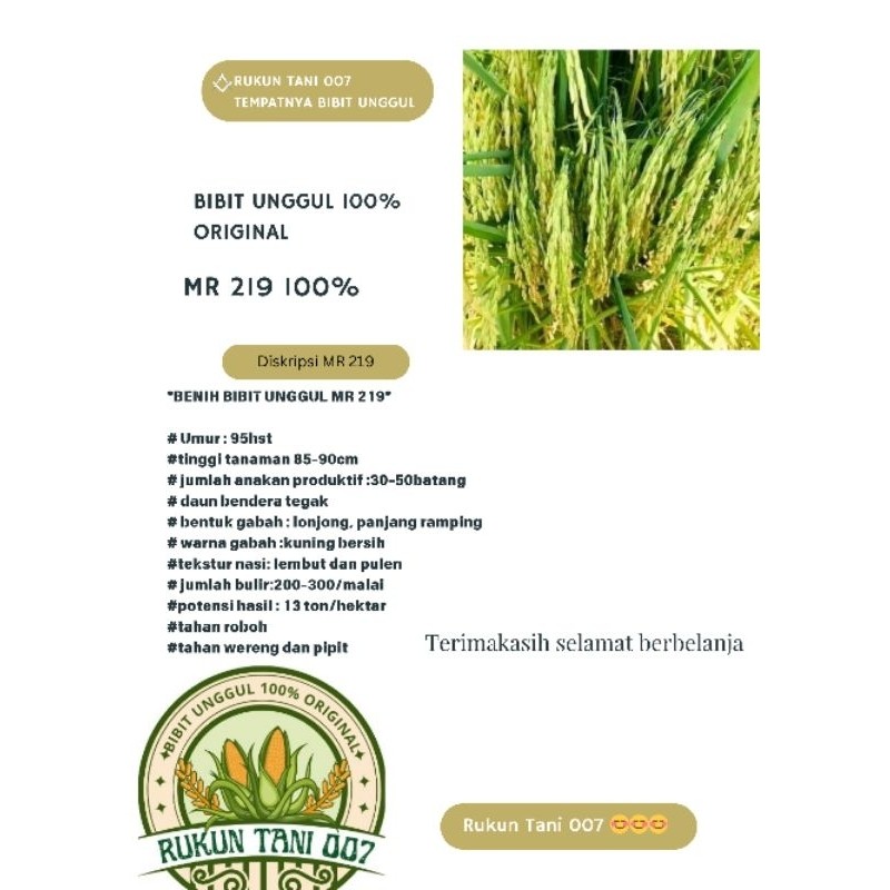Jual Bibit Benih Padi Mr219 original kemasan 5kg | Shopee Indonesia