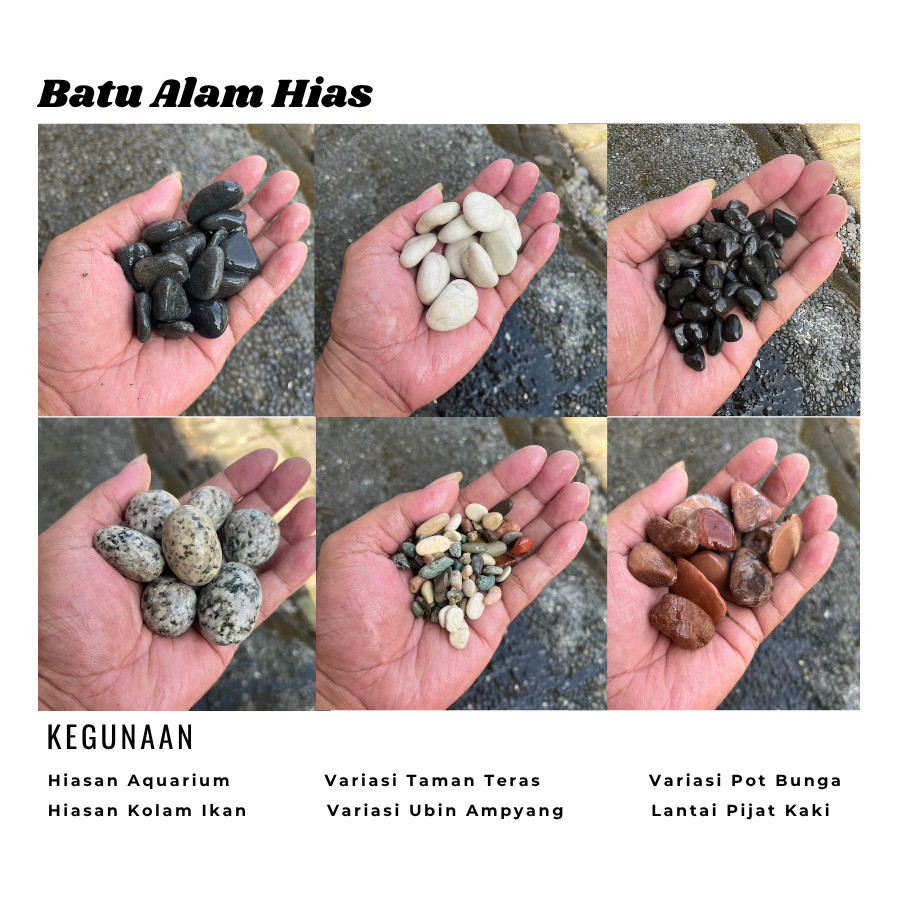 Jual Batu Alam Koral 1 kg Batu Hias Putih Hitam Merah Panca Warna Taman ...