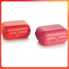 Jual Tupperware Small Oyster 1 PCS | Shopee Indonesia