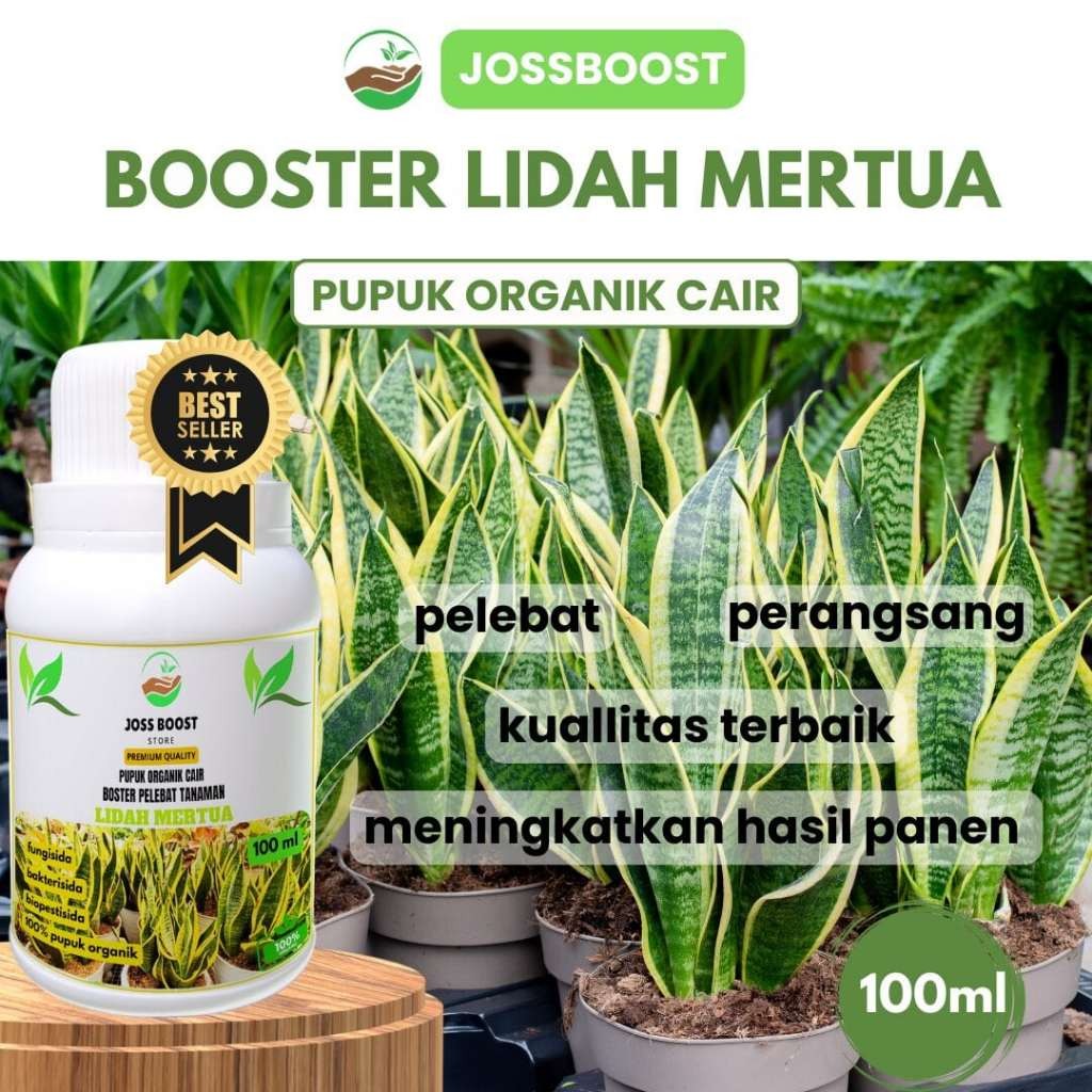 Jual JOSSBOOST pupuk Lidah Mertua 100ml pupuk organik cair tanaman Lidah Mertua booster Lidah ...
