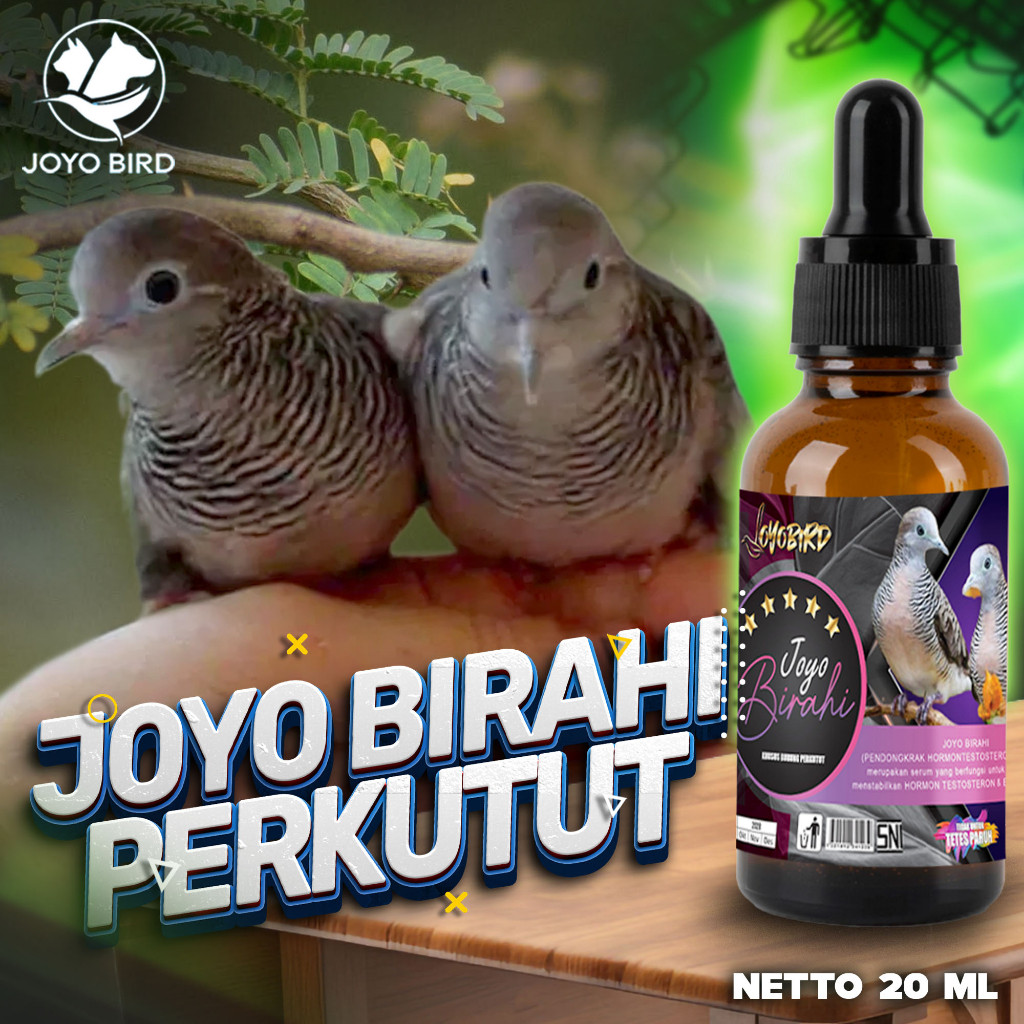 Jual OBAT BURUNG PENDONGKRAK BIRAHI PERKUTUT | VITAMIN BURUNG ...