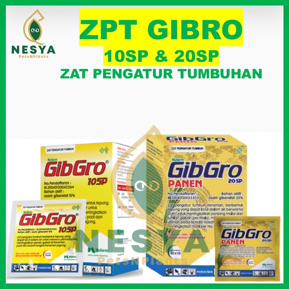 Jual GIBGRO 10 SP & 20 SP 1gr PER SACHET ZPT Penyubur Padi, Jagung ...