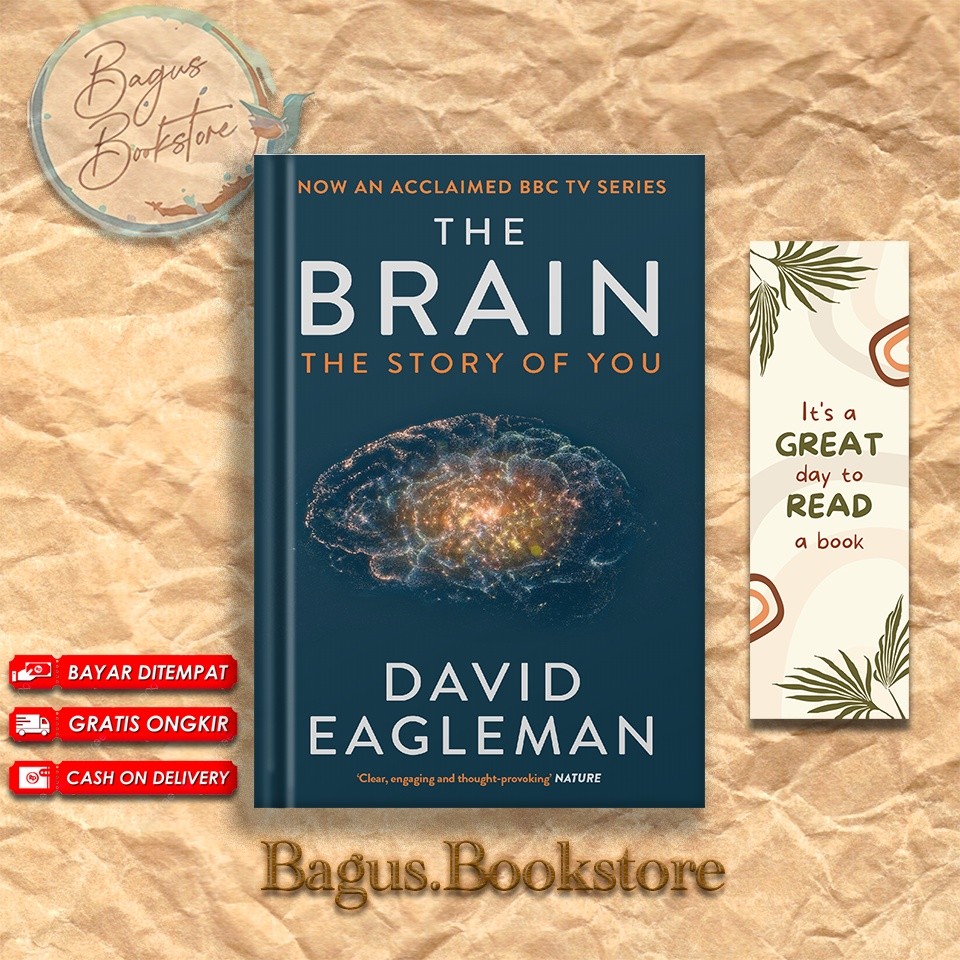 Jual The Brain: The Story of You - David Eagleman (English ...