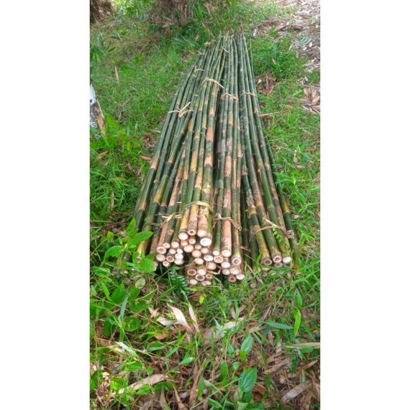Jual Bambu tiang bendera-umbul umbul dekorasi depan rumah COD kualitas ...