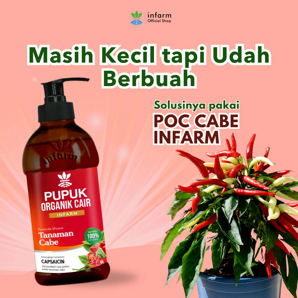 Jual Infarm Pupuk Organik Cair Cabe 500mL POC Cabe POC Cabai Tanaman Merah Cabe Rawit Pelebat ...